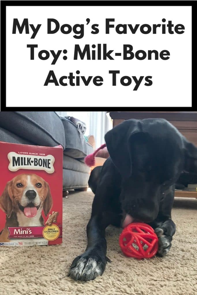 My Dog's Favorite Toy: Milk-Bone Active Toys - Saving You Dinero