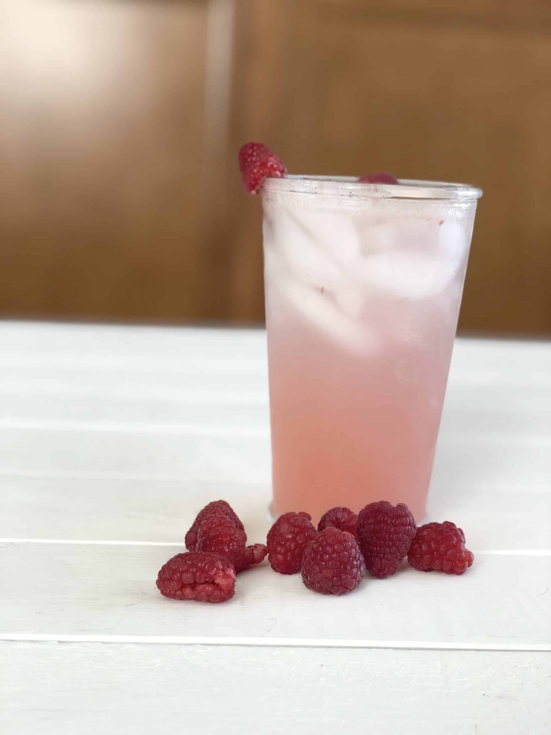 Sugar Free Raspberry Soda Recipe - Saving You Dinero