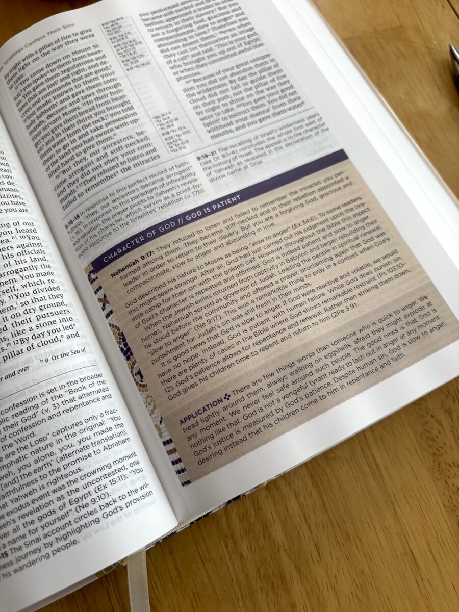 NIV Application Bible - So Many Great Features For Understanding ...