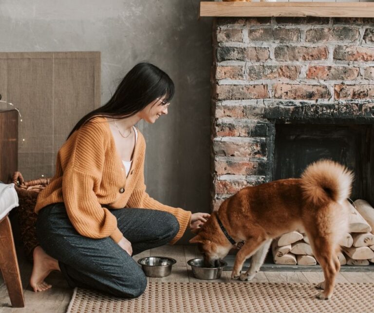 Pet Feeding Tips - Saving You Dinero